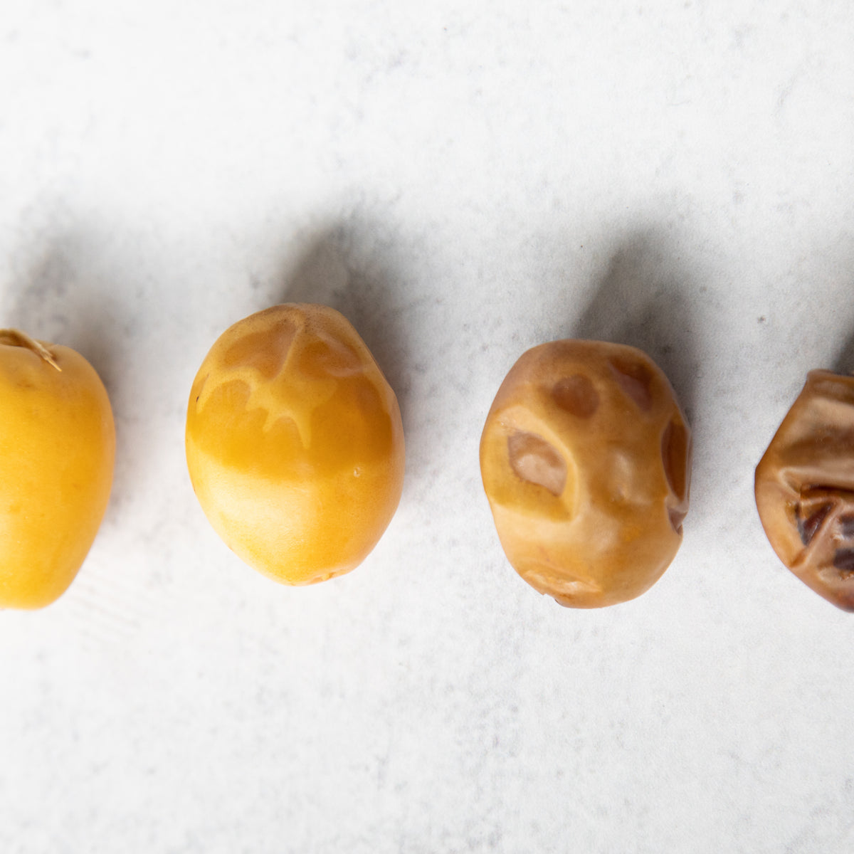 The Stages of Barhi Dates | Coachella's Best Dates – Coachella's Best ...