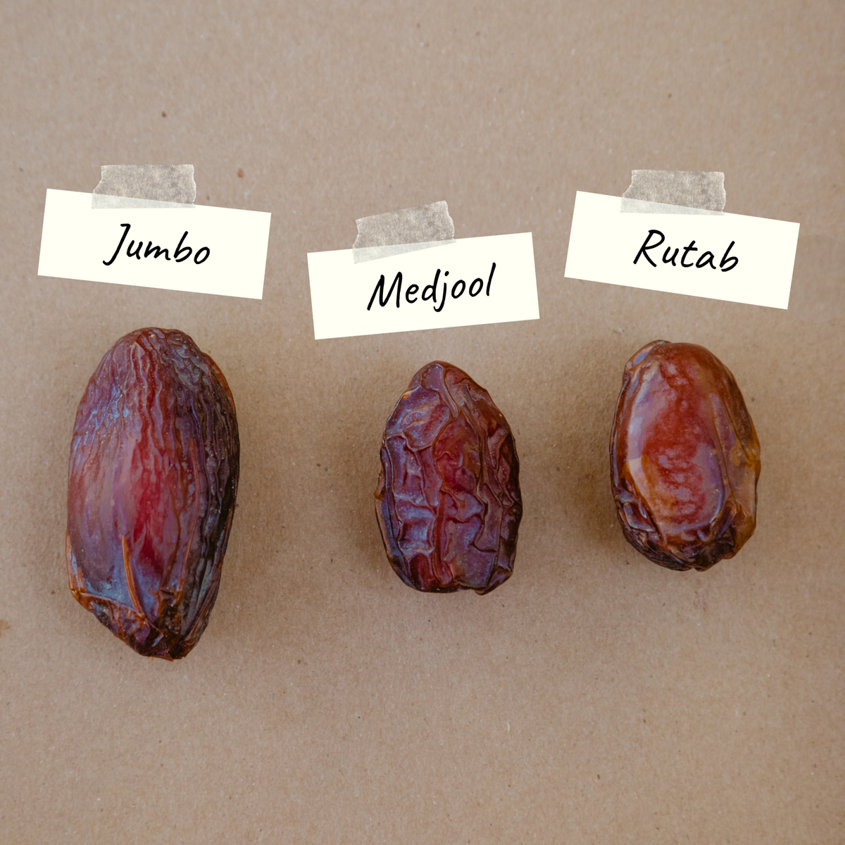 Organic Premium Medjool Dates Box | Coachella's Best Dates