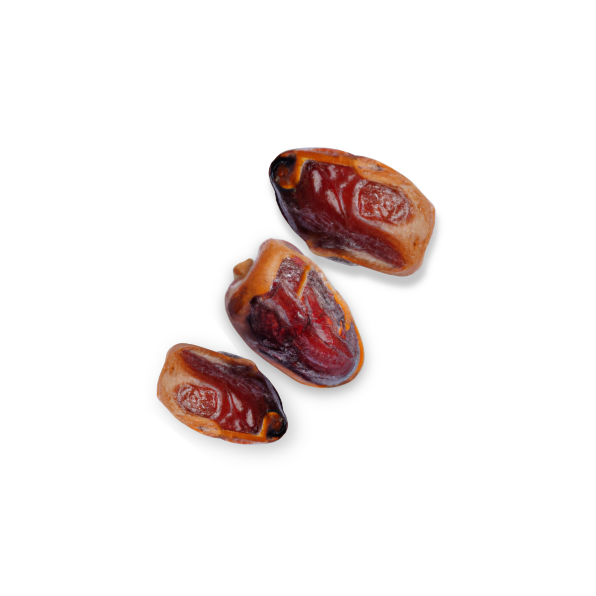 Organic Mini Medjool Dates Box | Coachella's Best Dates